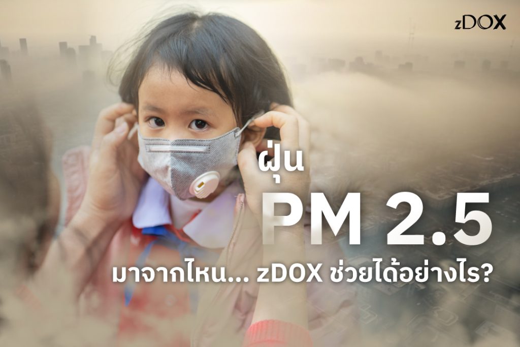 ฝุ่น PM 2.5 มาจากไหน… zDOX ช่วยได้อย่างไร? | zDOX : e-Signature, e-Document help you do Digital ...